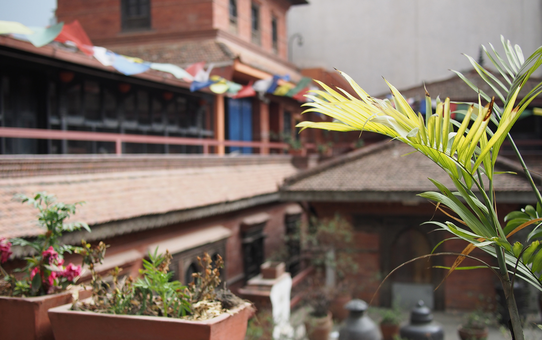 Back to Basics – Nepali Project