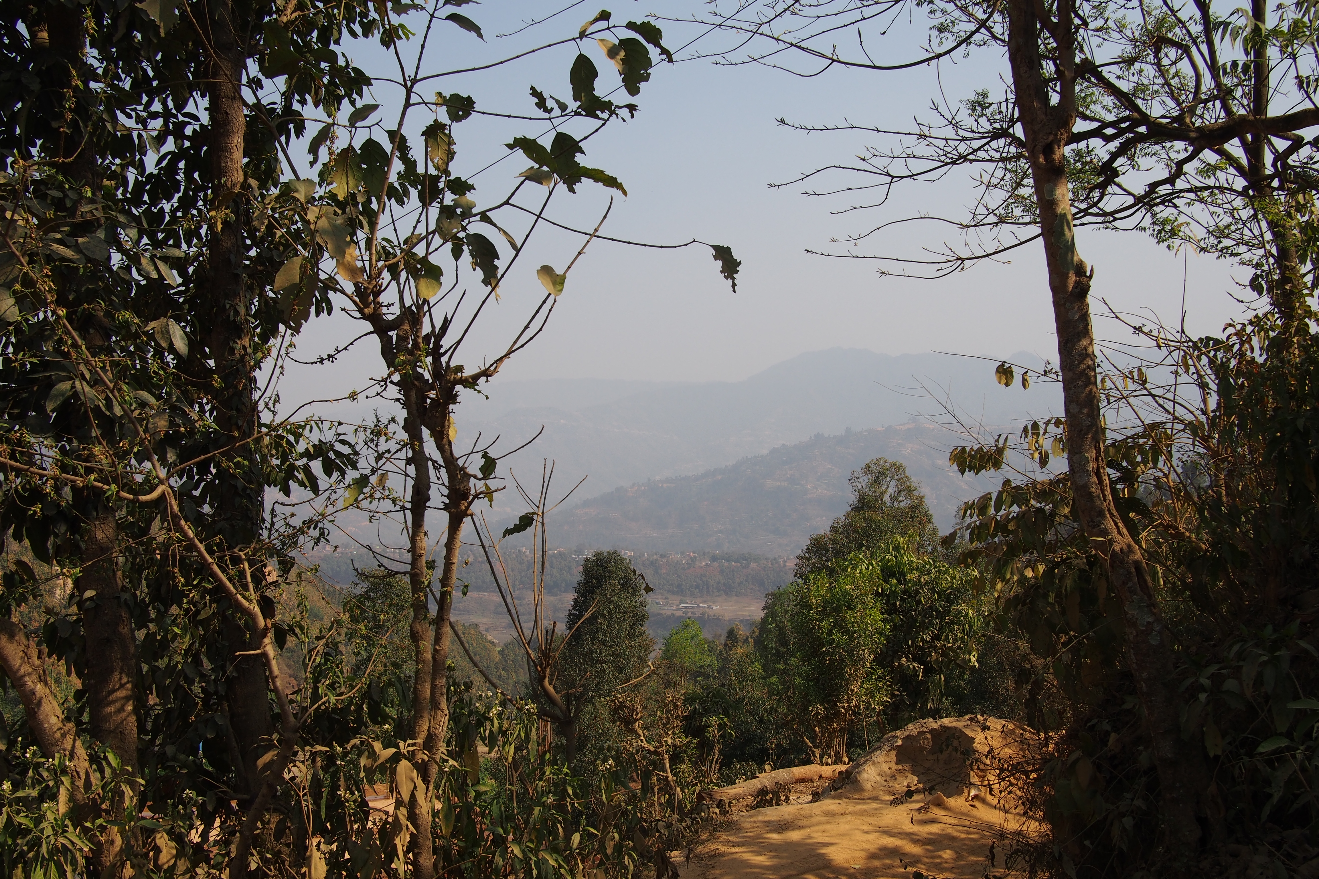 Project Report 2018 – Nepali Project